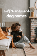 51 Best Coffee Inspired Names for Dogs - The Dog Names Collection